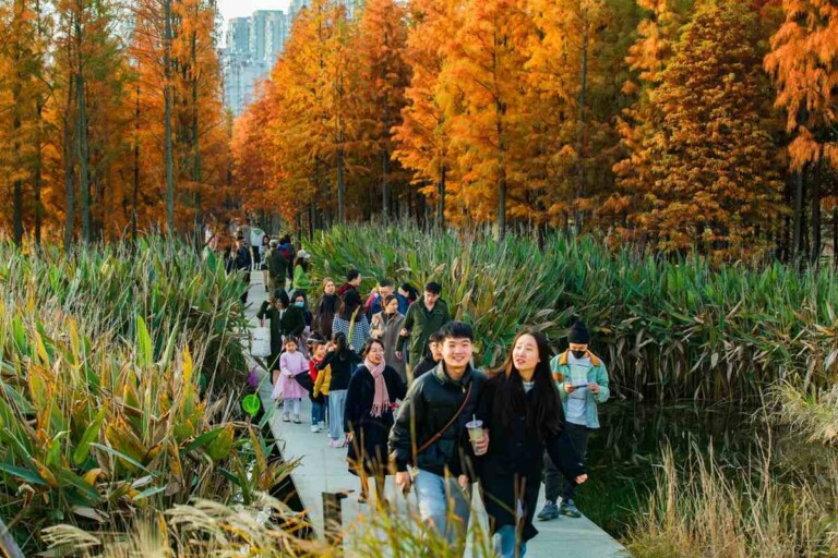 ‘Sponge’ Cities Combat Urban Flooding by Letting Nature Do the Work ...